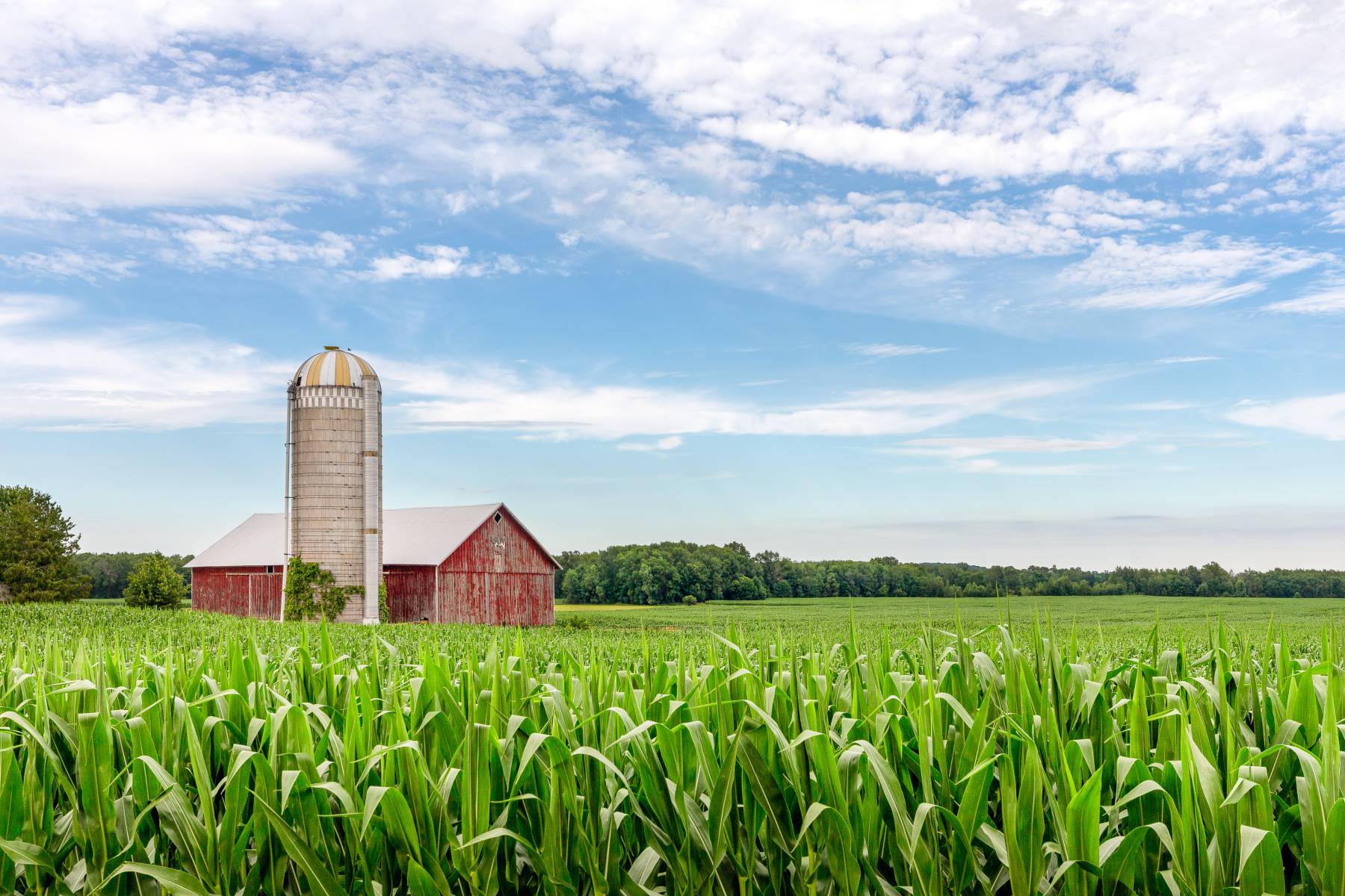 The History of Barns in America – Mother Earth News